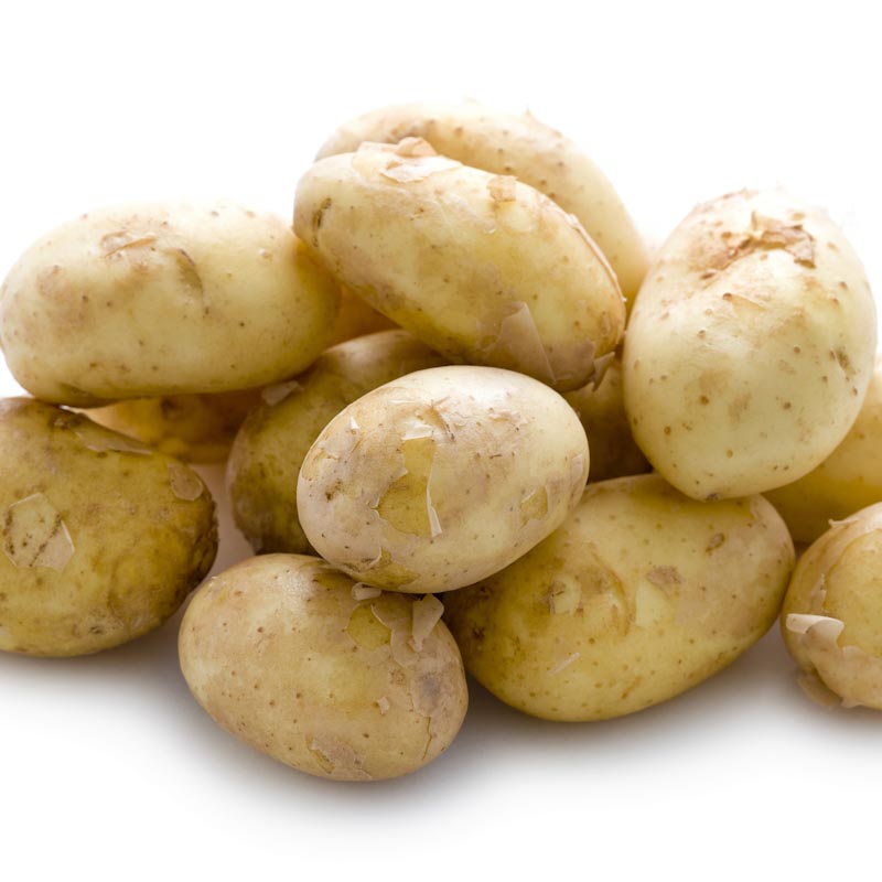 Potato 'Maris Peer' - second early